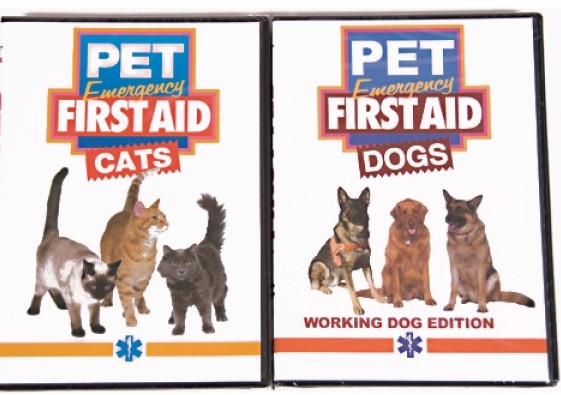 Veterinary Models :: Rescue Critters Advanced Veterinary Training ...