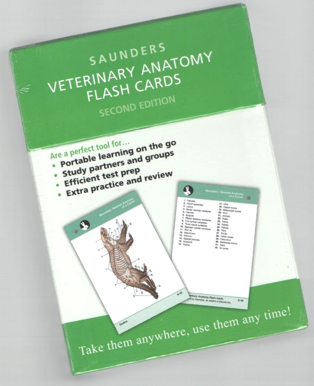 Canine + Feline Anatomy Flashcards SPECIAL OFFER